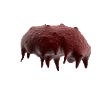 Stages of Evolution | Plague Inc. Wiki | Fandom