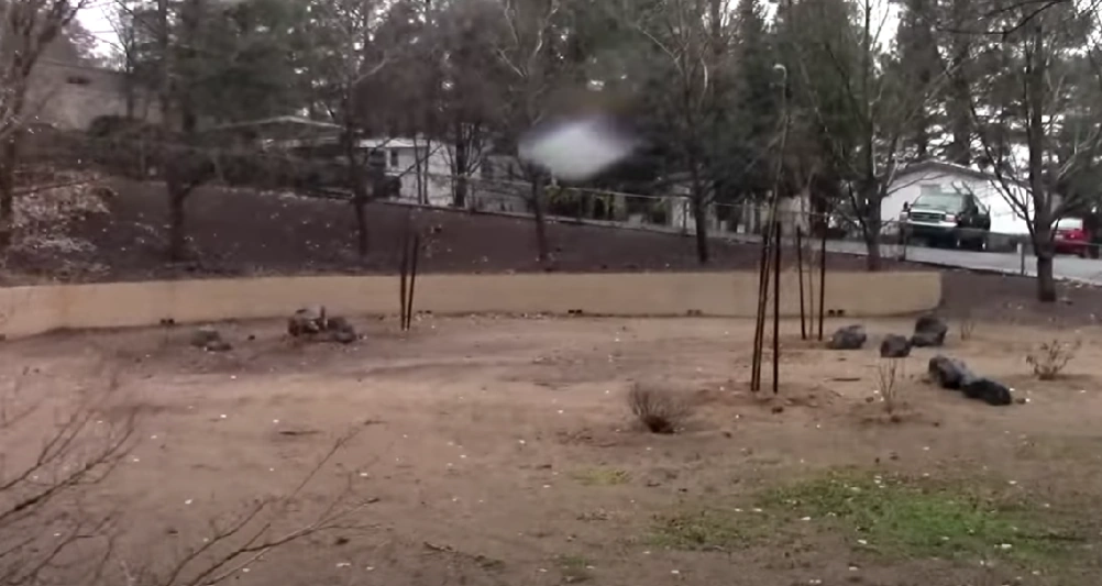 Park | Plainrock124 Wikia | Fandom