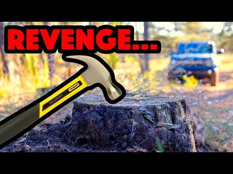 Bored Smashing - TREE STUMP | Plainrock124 Wikia | Fandom