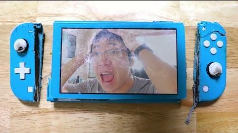 WHY THE SWITCH LITE IS DUMB | Plainrock124 Wikia | Fandom