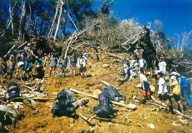 Cebu Pacific Flight 387 | Plane Crash Wiki | Fandom