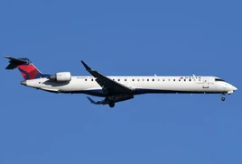 Delta Connection Flight 4819 | Plane Crash Wiki | Fandom