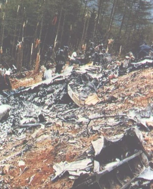 Japan Airlines Flight 123 | Plane Crash Wiki | Fandom
