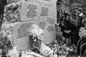 Alitalia Flight 404 | Plane Crash Wiki | Fandom