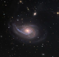 NGC 772 | Astronomy Wiki | Fandom