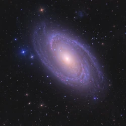 Unbarred Spiral Galaxy
