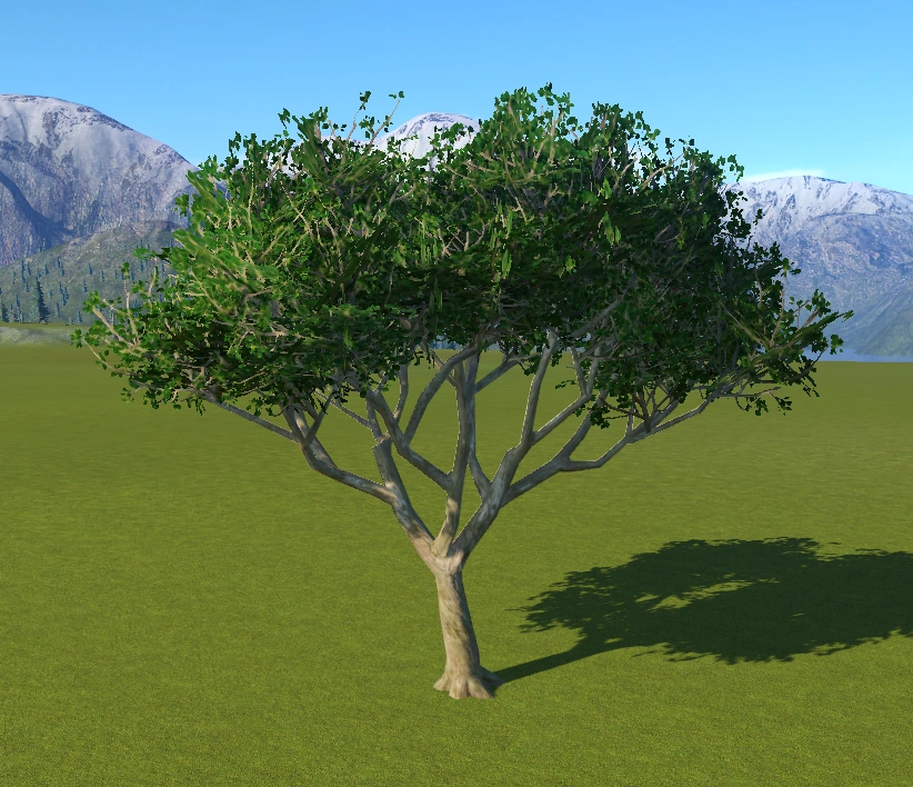 Marula Tree 1 | Planet Coaster Wiki | Fandom