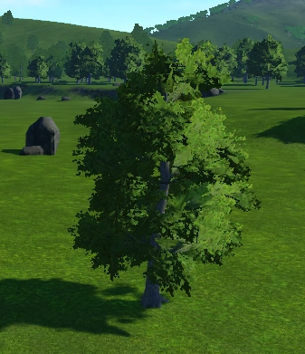 Sycamore Tree 3 | Planet Coaster Wiki | Fandom