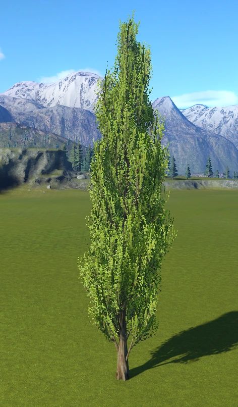 Poplar Tree 1 | Planet Coaster Wiki | Fandom