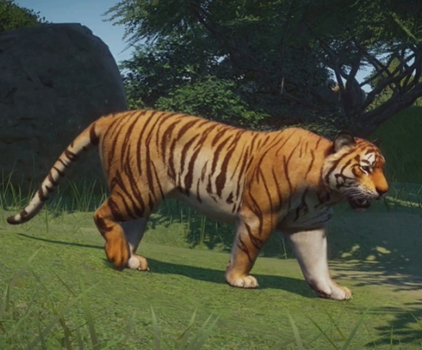 Bengal Tiger | Planet Coaster Wiki | Fandom