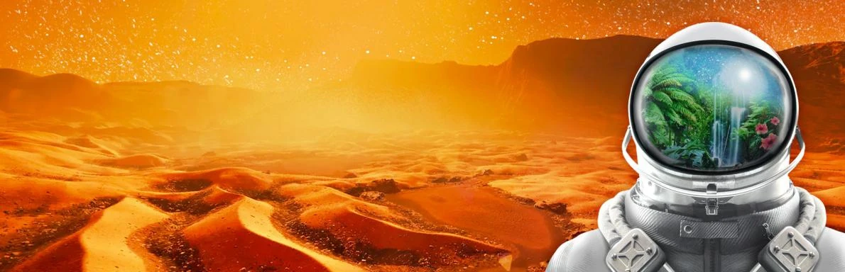 Planet Humble Section | Fandom