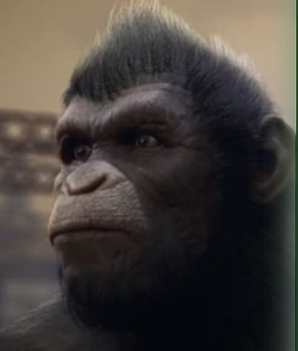 Tola | Planet of the apes Wiki | Fandom