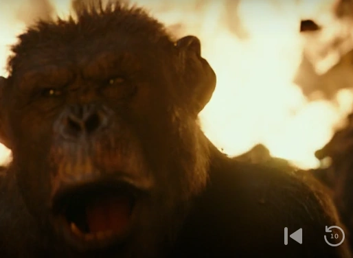 Shell | Planet of the apes Wiki | Fandom