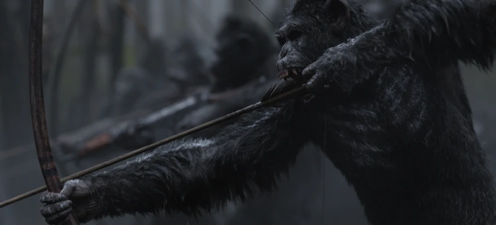 Singe | Planet of the apes Wiki | Fandom