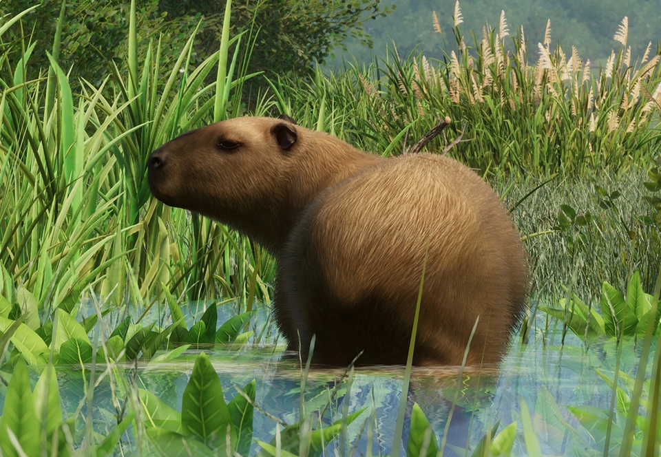 Capybara | Planet Zoo Konsole Wiki | Fandom