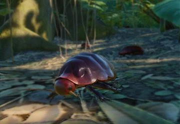 Giant Burrowing Cockroach | Planet Zoo ไทย | Fandom