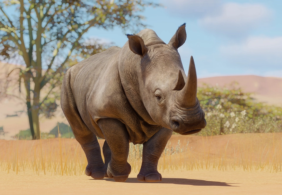 Breitmaulnashorn | Planet Zoo Wiki | Fandom