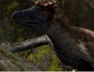 Microraptor | Planet Dinosaur Wiki | Fandom