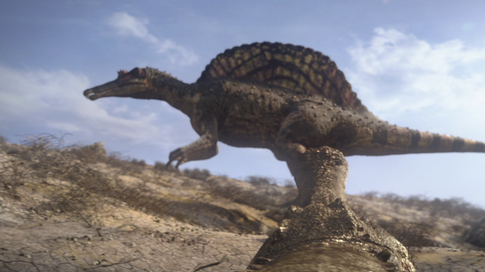 Planet Dinosaur Sarcosuchus