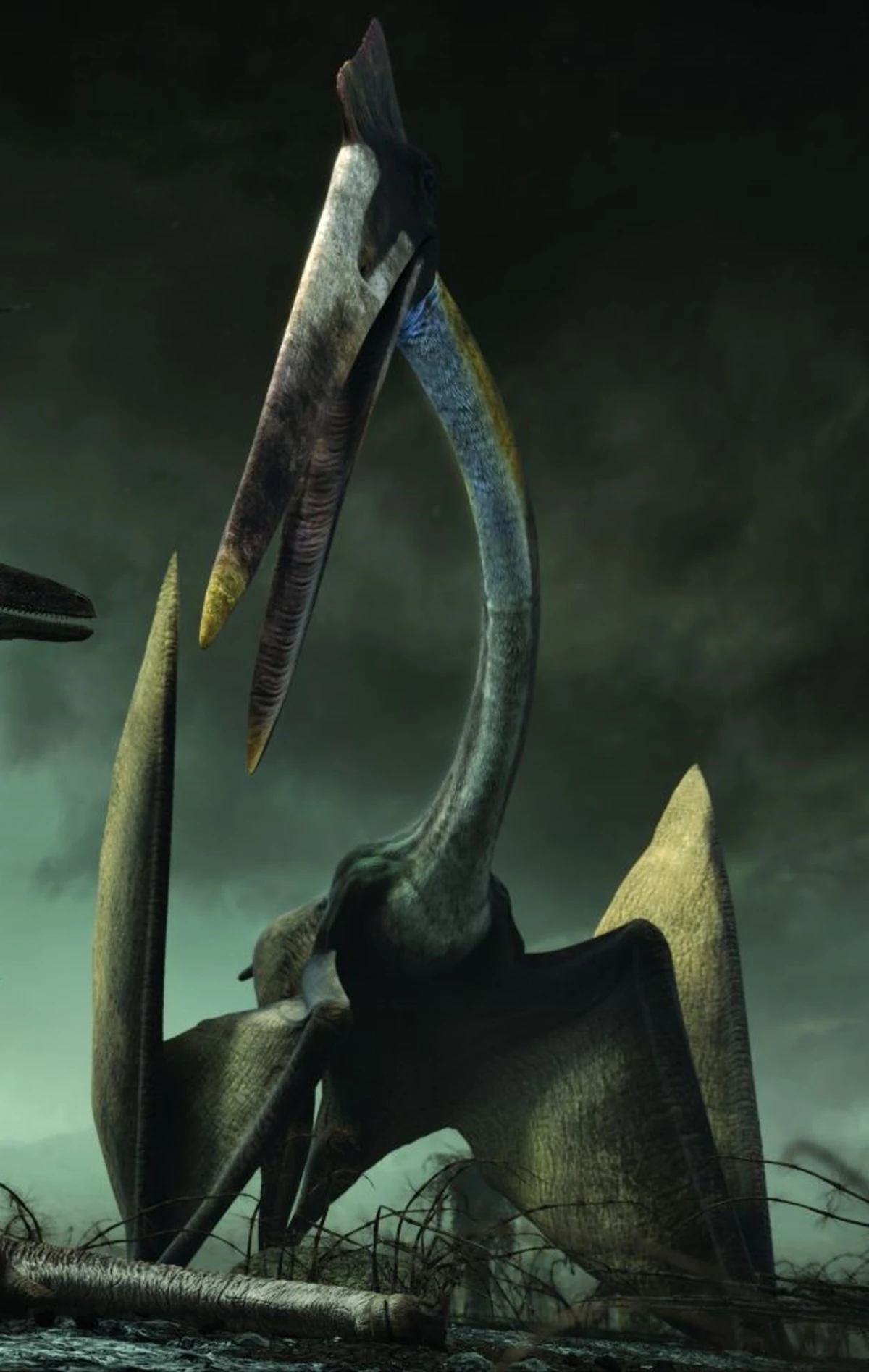 Hatzegopteryx | Planet Dinosaur Wiki | Fandom