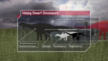 Telmatosaurus | Planet Dinosaur Wiki | Fandom