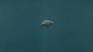 Jurassic Fish | Planet Dinosaur Wiki | Fandom