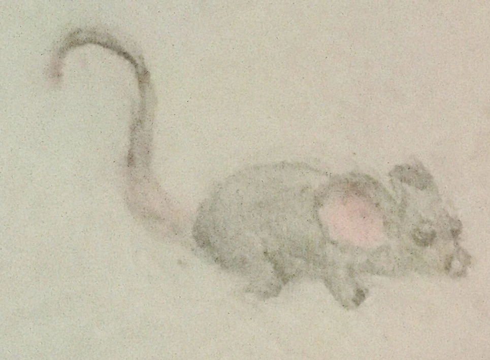 Radioactive Mouse | Vispericulum Wiki | Fandom