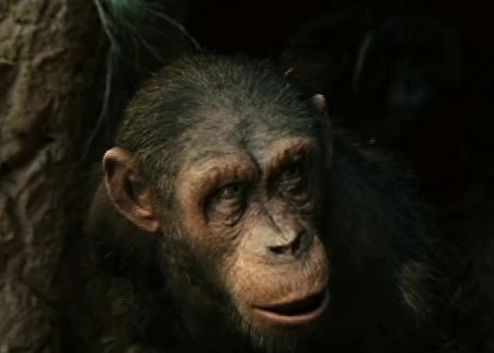 Andy | Planet of the Apes Wiki | Fandom