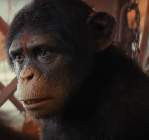 Soona | Planet of the Apes Wiki | Fandom