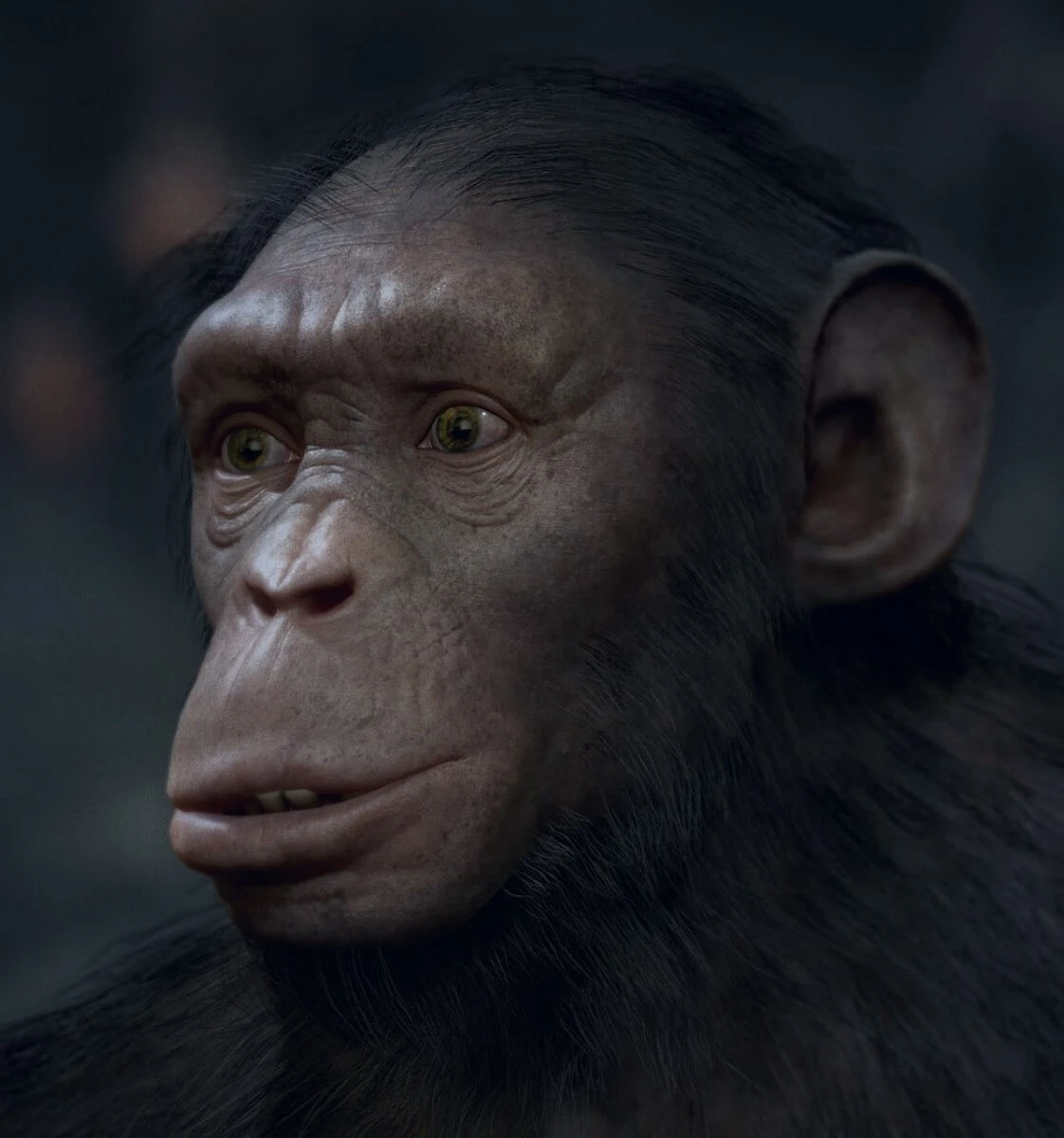 Juno | Planet of the Apes Wiki | Fandom