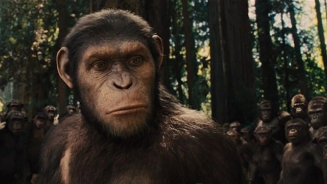 Buck/Relationships | Planet of the Apes Wiki | Fandom