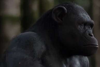 Dawn Of The Planet Of The Apes Buck