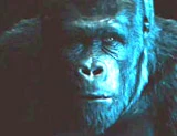 Buck/Gallery | Planet of the Apes Wiki | Fandom