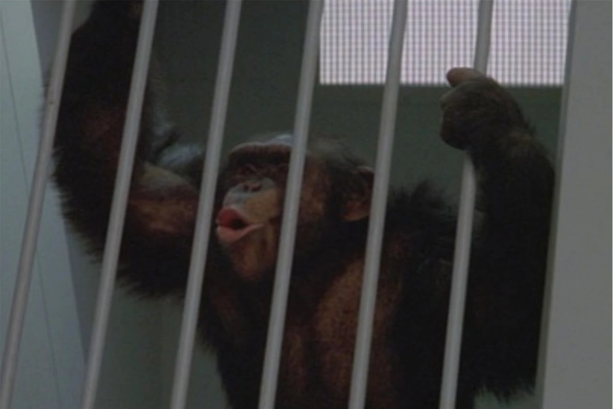 Aspasia | Planet of the Apes Wiki | Fandom