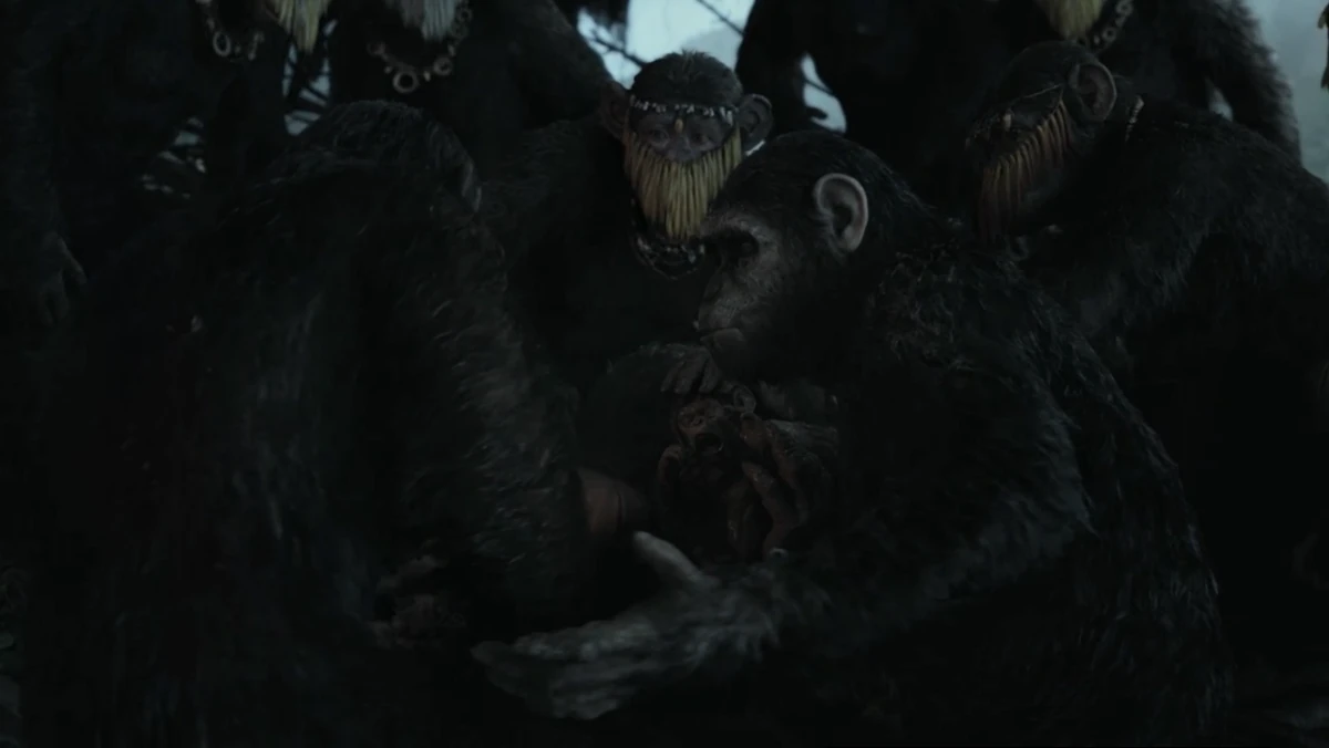 Ape Midwives | Planet of the Apes Wiki | Fandom