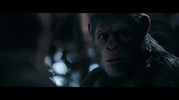 Evolved Ape | Planet of the Apes Wiki | Fandom
