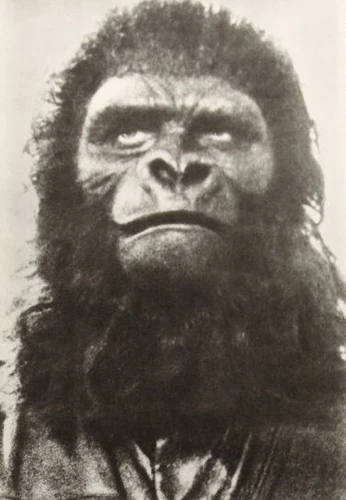 Marcus | Planet of the Apes Wiki | Fandom