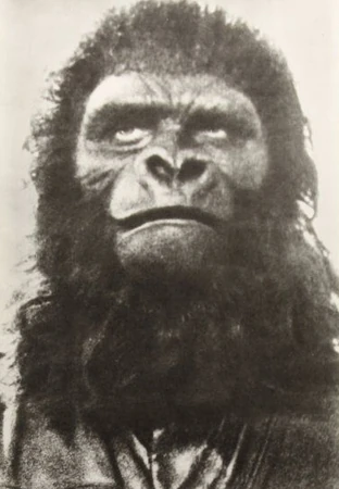 Leader Of The Planet Of The Apes 1968 Hunt