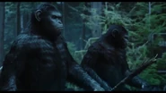 Caesar's Family (CE) | Planet of the Apes Wiki | Fandom