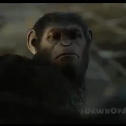Cornelius Planet Of The Apes Gif