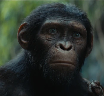 Noa | Planet of the Apes Wiki | Fandom