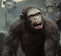 Evolved Ape | Planet of the Apes Wiki | Fandom