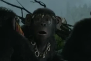 Ashes The Chimp