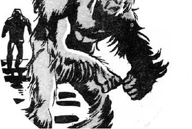 Zena The Planet Of Apes Dugo Iščekivan Nastavak 'Planet Majmuna: