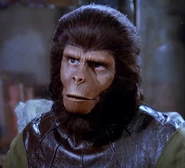 Gallery | Planet of the Apes Wiki | Fandom