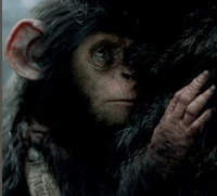 Caesar's Family (CE) | Planet of the Apes Wiki | Fandom