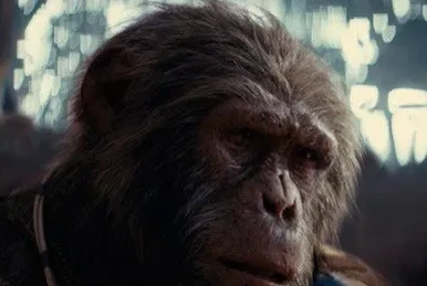 Bili Ape Lion Killer