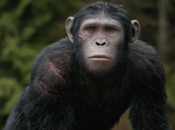Blue Eyes | Planet of the Apes Wiki | Fandom