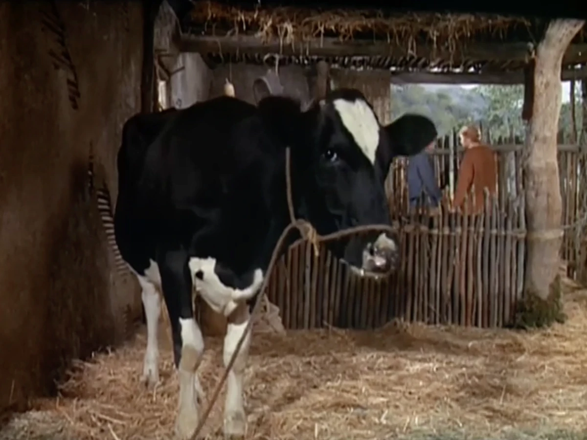 Cow | Planet of the Apes Wiki | Fandom