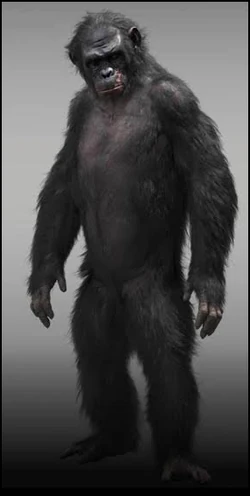 Planet Of The Apes Koba Wallpaper